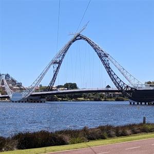 MNDAWA - Brenton Ettridge