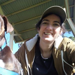 MNDAWA - Shannon Holt